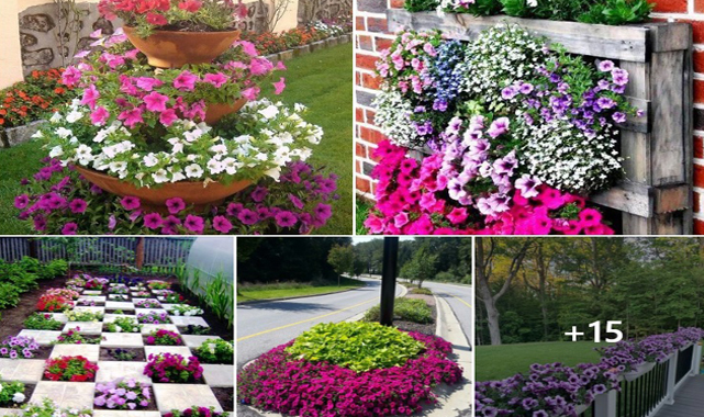 20 Brilliant Ways To Fully Appreciate The Natural Beauty Of Petunias ...